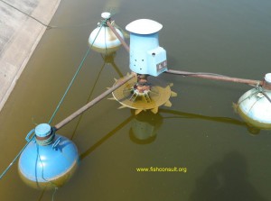 Use of impeller aerator in Chinese aquaculture | Fish Consulting Group